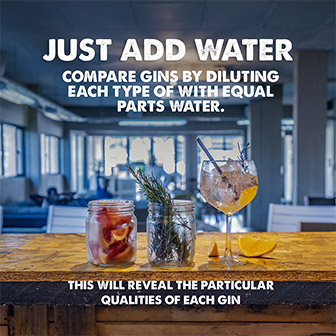 TOPS at SPAR - Welcome to TOPS at SPAR - Facts about Gin.